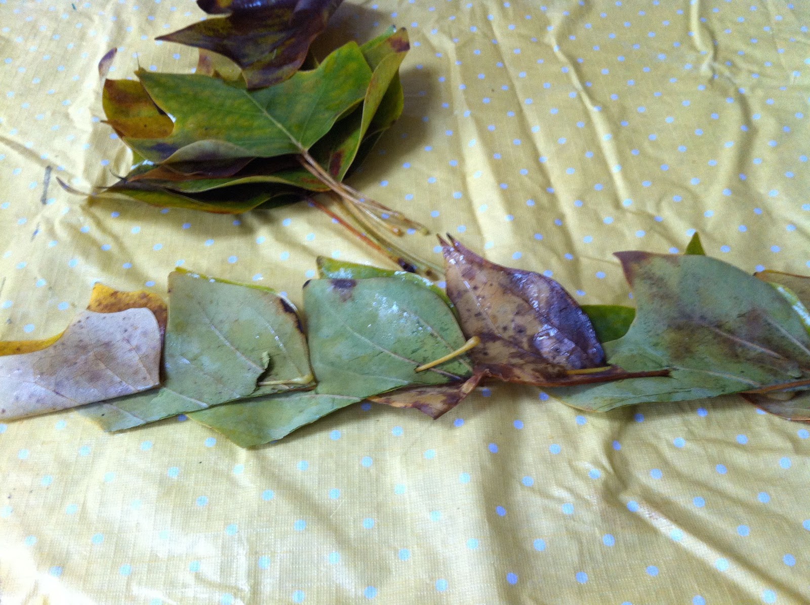 Eco Journey in the Burbs: Autumn Crown Tutorial