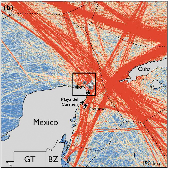Sciency Thoughts: Satellite tracking Manta Rays off the coast of Mexico.