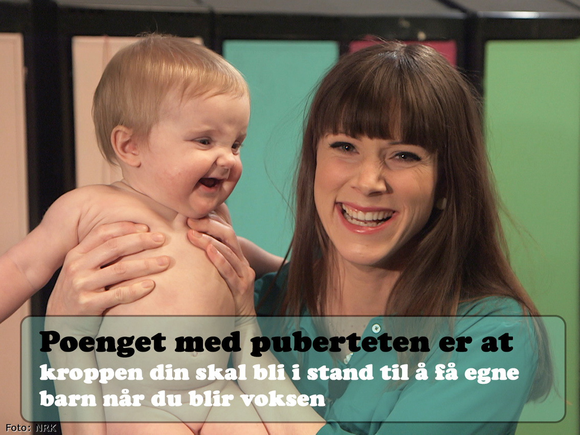 AMPA del Rosa: Newton - pubertet