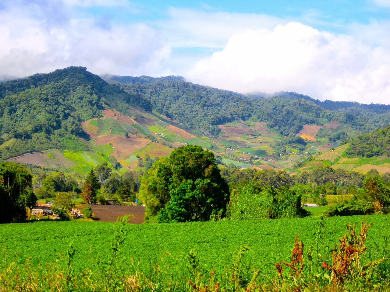 Cerro Punta, Panama, WRITTEN Report – Panama For Real