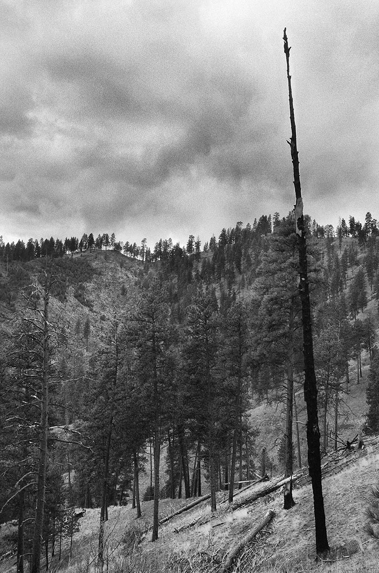 Shane Minton photography