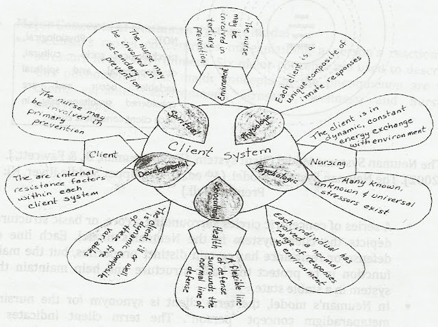 Betty Neuman's System Model: The Theory