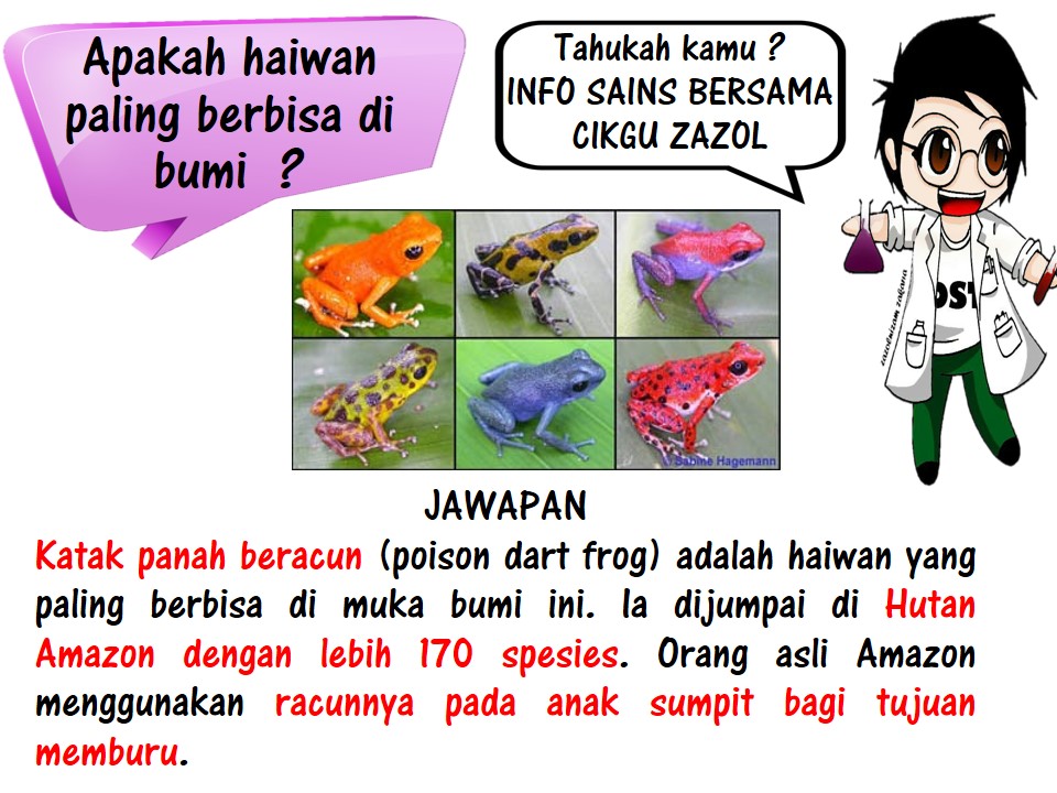 ZAZOLNIZAM BIN ZAKARIA: Info Sains SEkolah Rendah