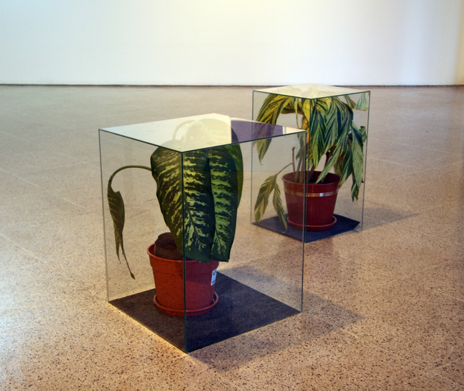 Ryan Renshaw Gallery