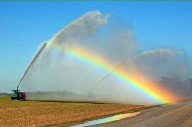 Mail2Day: Truly Cool Beautiful Pictures (59 pics)