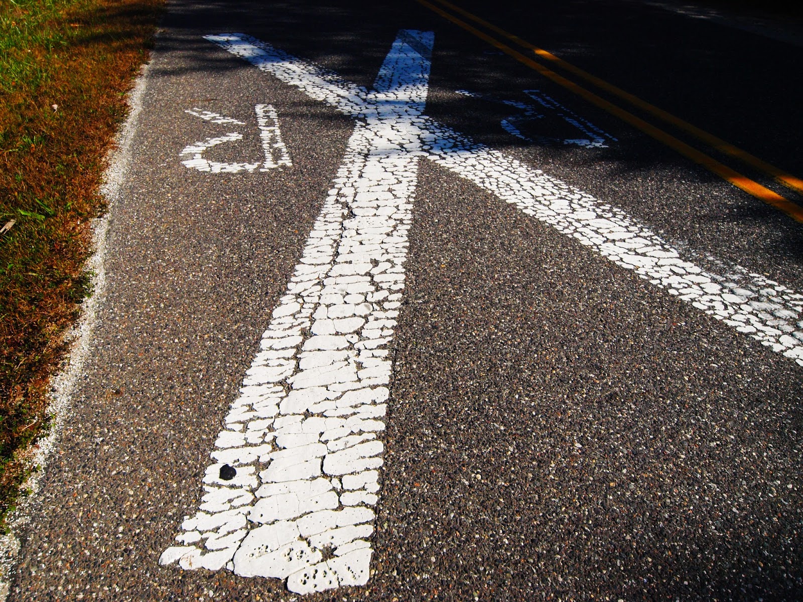 Exploring South Jersey: Winslow Junction - Train Graveyard