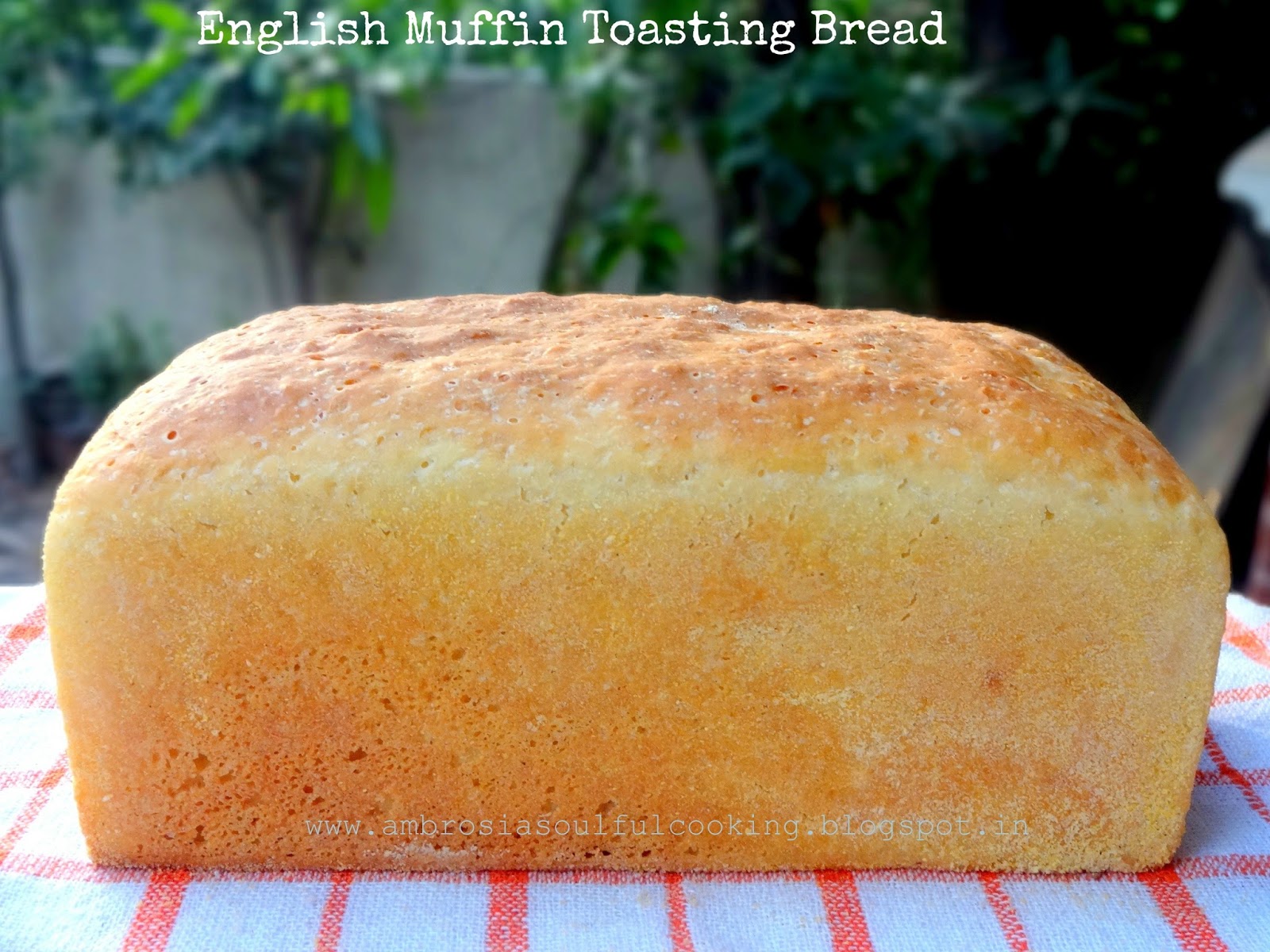 English Muffin Toasting Bread | Ambrosia