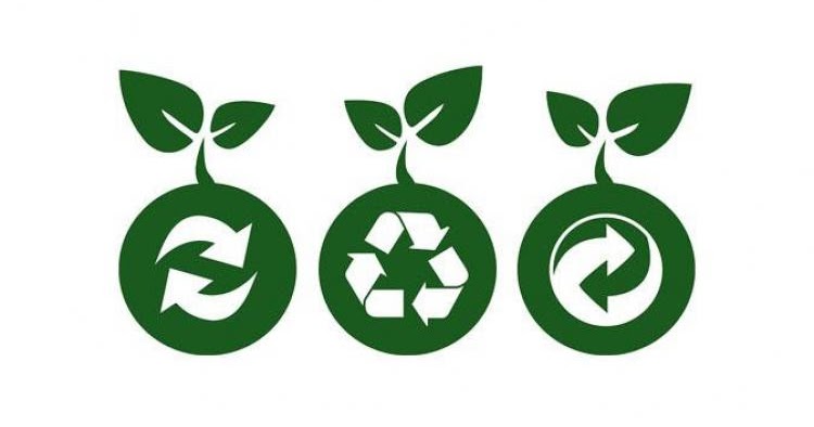 Regla de las tres erres (3R) | Terra Vita