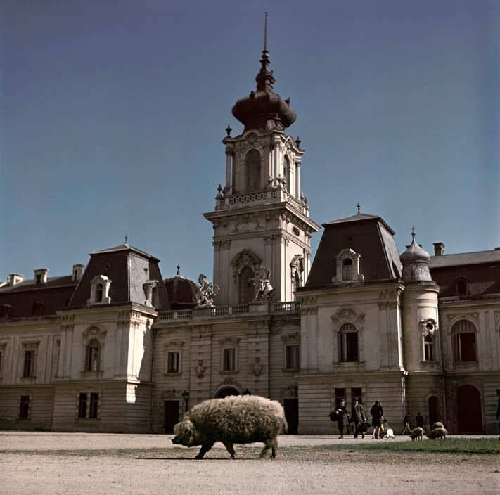 The World in Color During the 1940s and 1950s Through Robert Capa's ...
