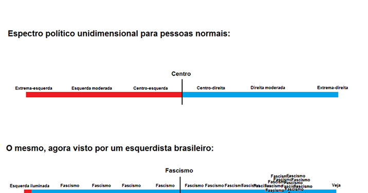 Norma Braga: Espectro político