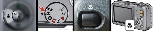 Nail Photography Basics (Part I) | Chalkboard Nails | Phoenix, Arizona ...