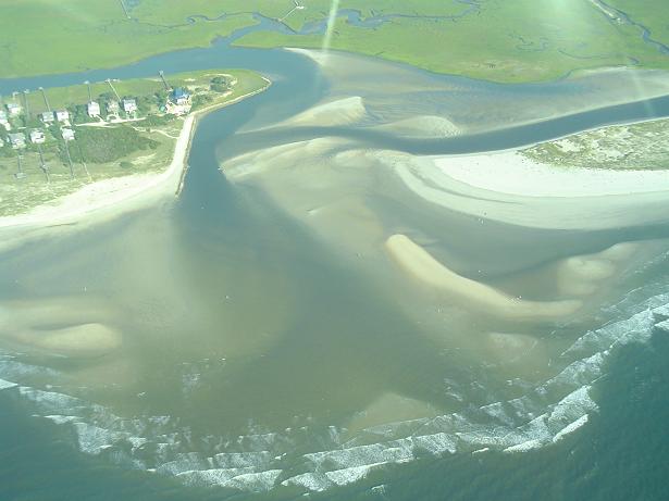 The Hunter and The Gatherer: Horseshoe Crabs: Living Fossils