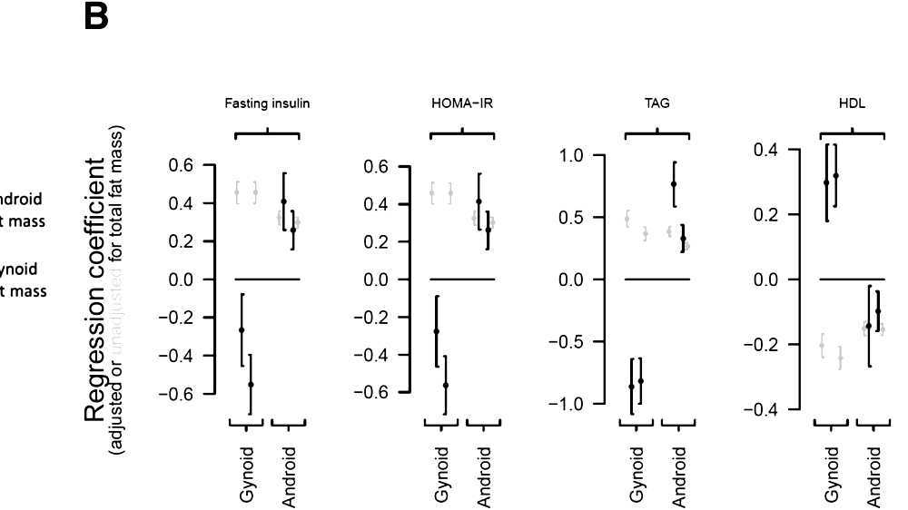 Gynoid fat distribution