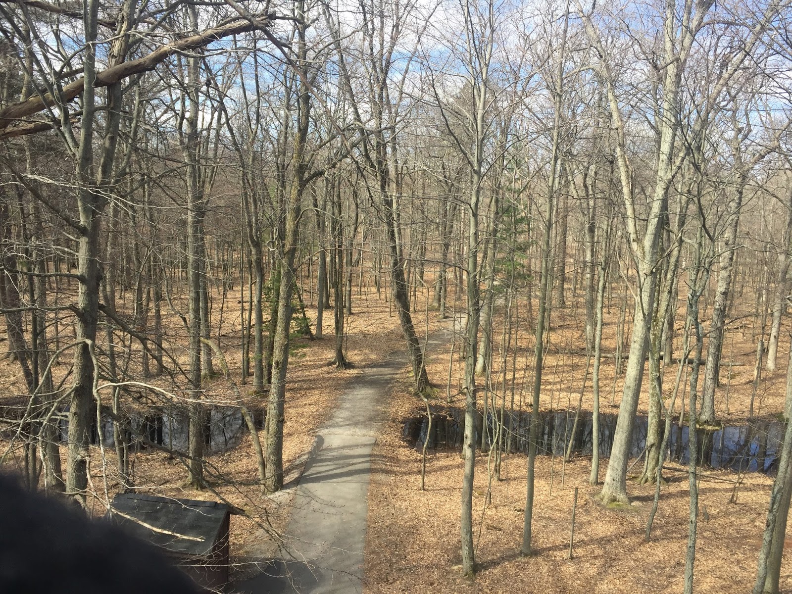 Travel Reviews & Information: Bay City, Michigan / State Recreation ...