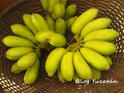 Frutas - BLOG YUCATÁN