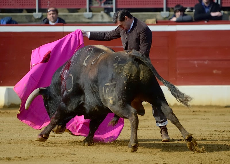 PhOtAuRiNeS: Mathieu Guillon