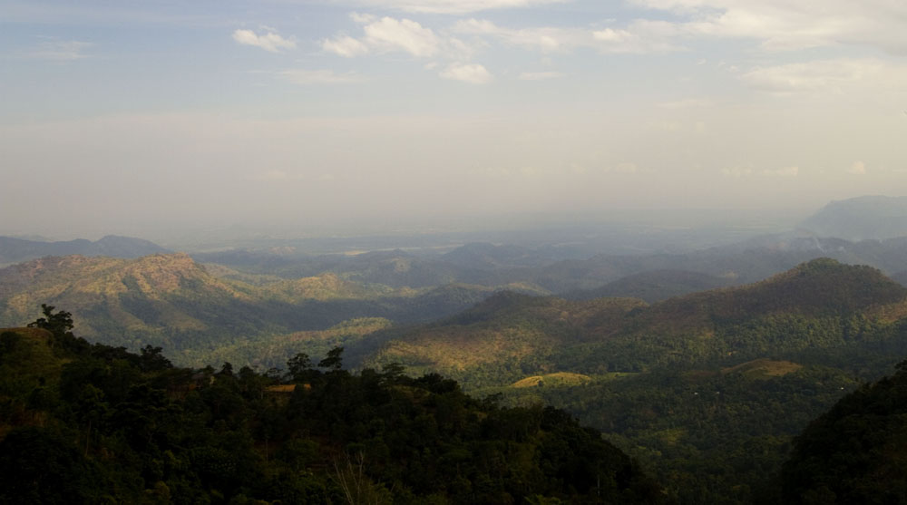 Chasing Light: Southern Plains, Beragala, July 2011