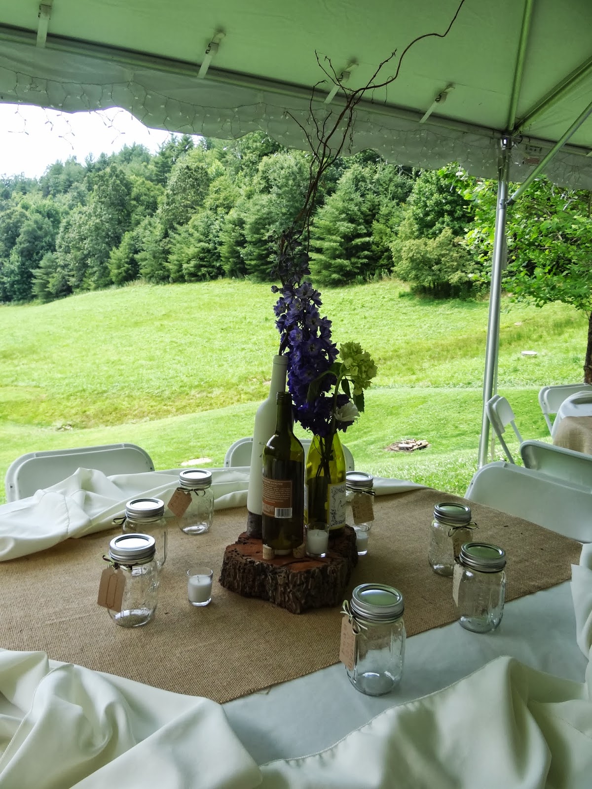 Libby's Cupcakes Etc: M+B Mountain Wedding Part 2: The rest of that ...