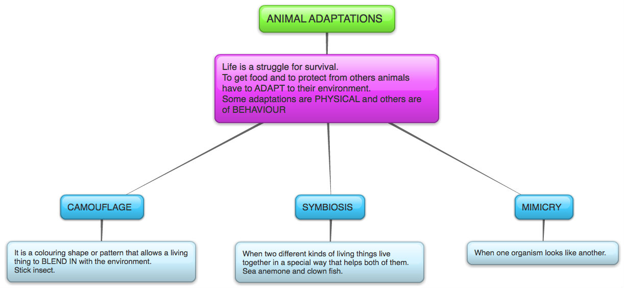 scienceclass5th: NAT. UNIT 3: THE ANIMAL KINGDOM
