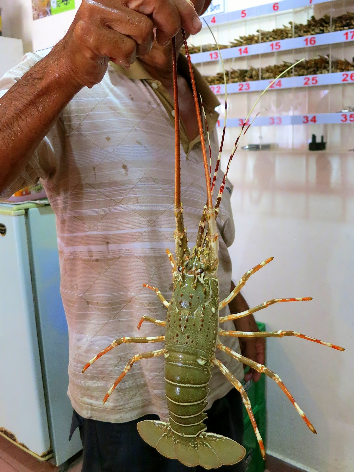 Seafood Section Closed - Lobsters at Straits View Seafood Restaurant ...