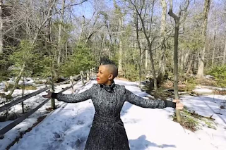 trini dougla diaries