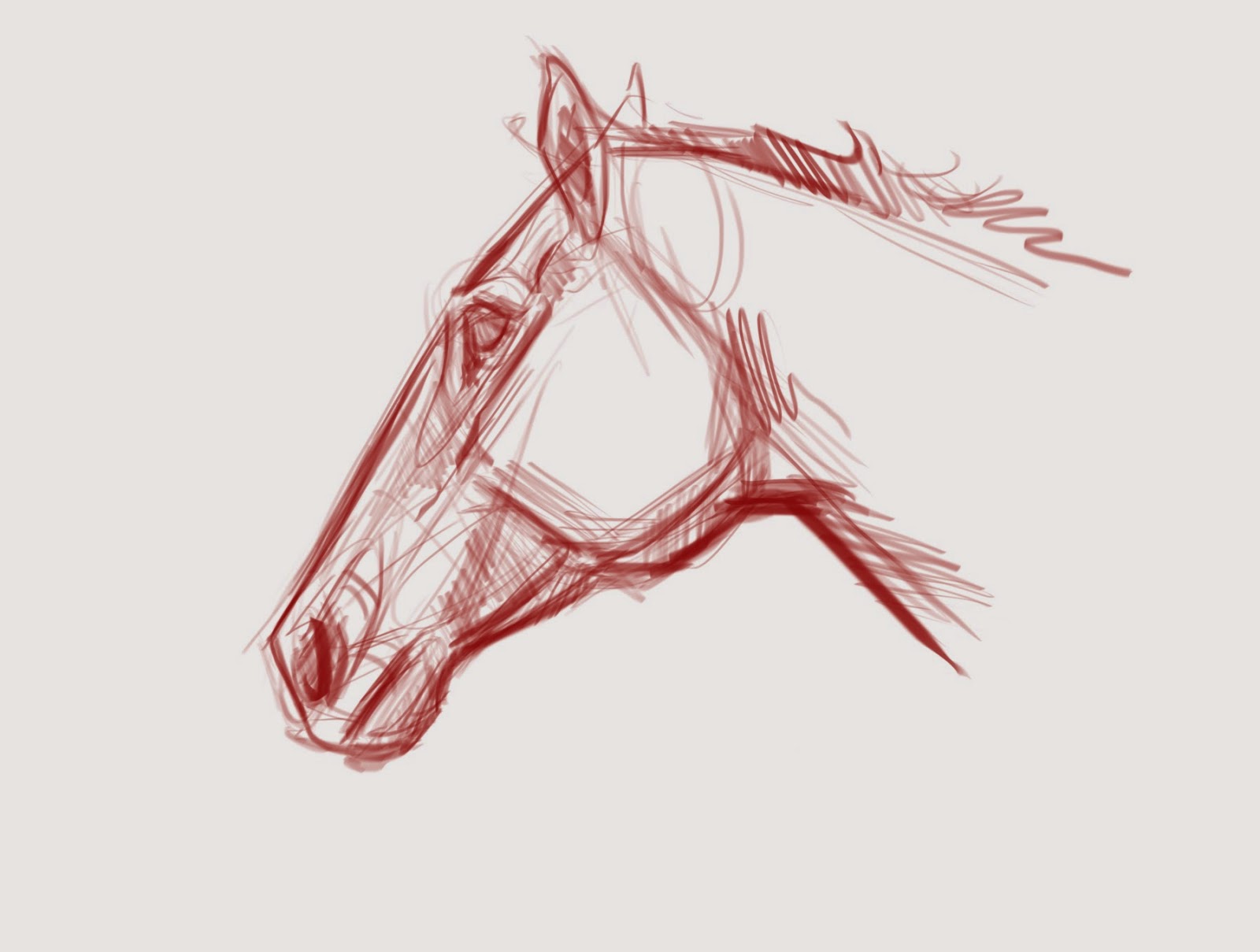 Joe Weatherly Fine Art: Horse drawing demos and diagrams.