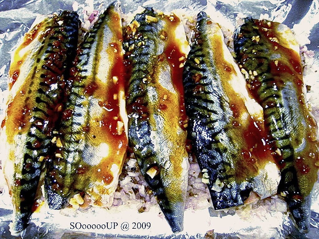 SOoooooUP: SABA FISH