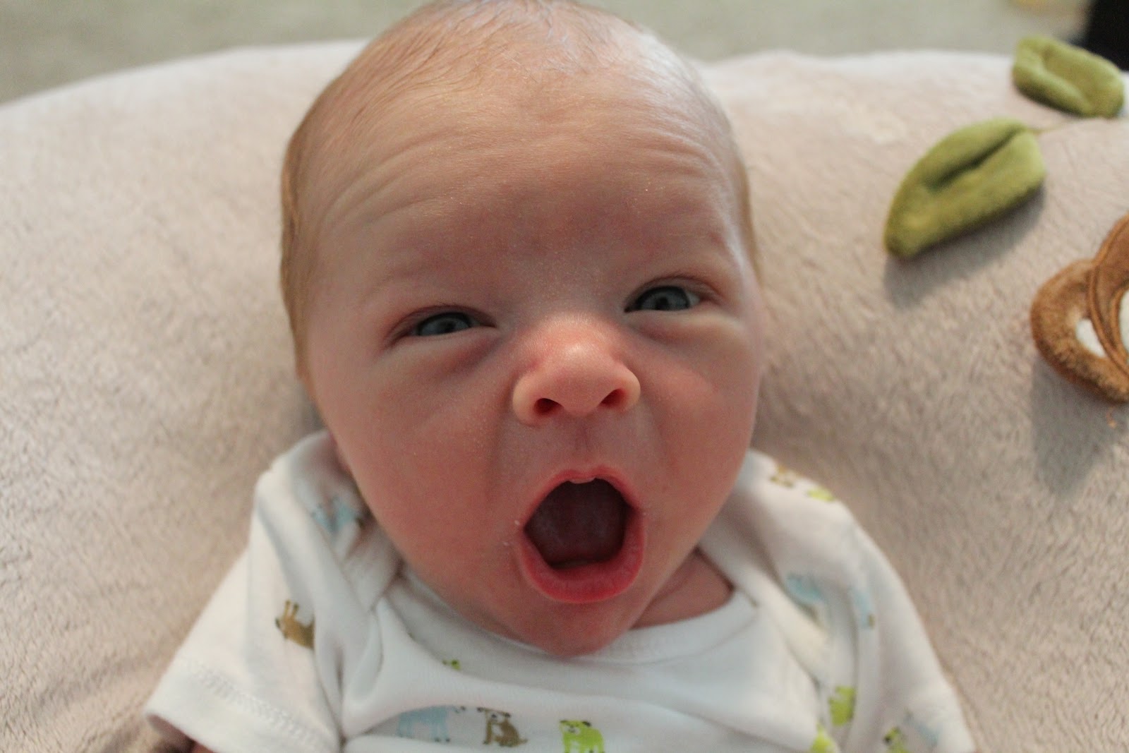 Baby Aaden: A Day In The Life Of A Baby