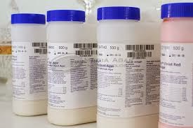 MEDIA PADA PRAKTIKUM MIKROBIOLOGI