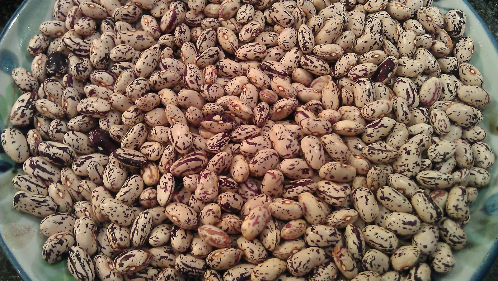 Secret Garden Club: Drying beans for winter