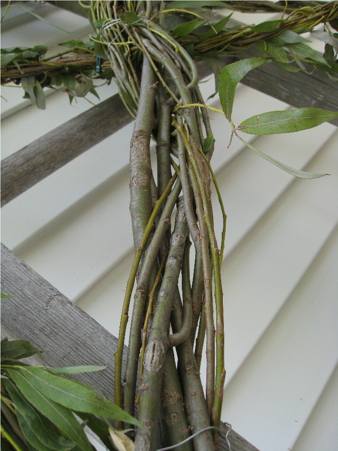 Kammy's Korner: Braided Willow Tree Star