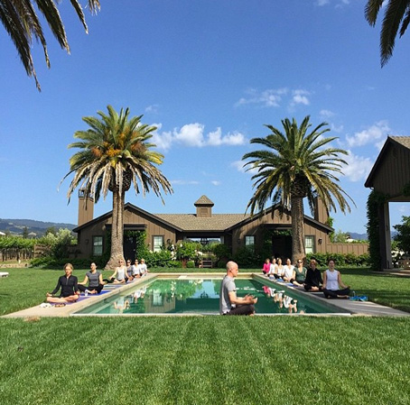 napa style - LE CATCH