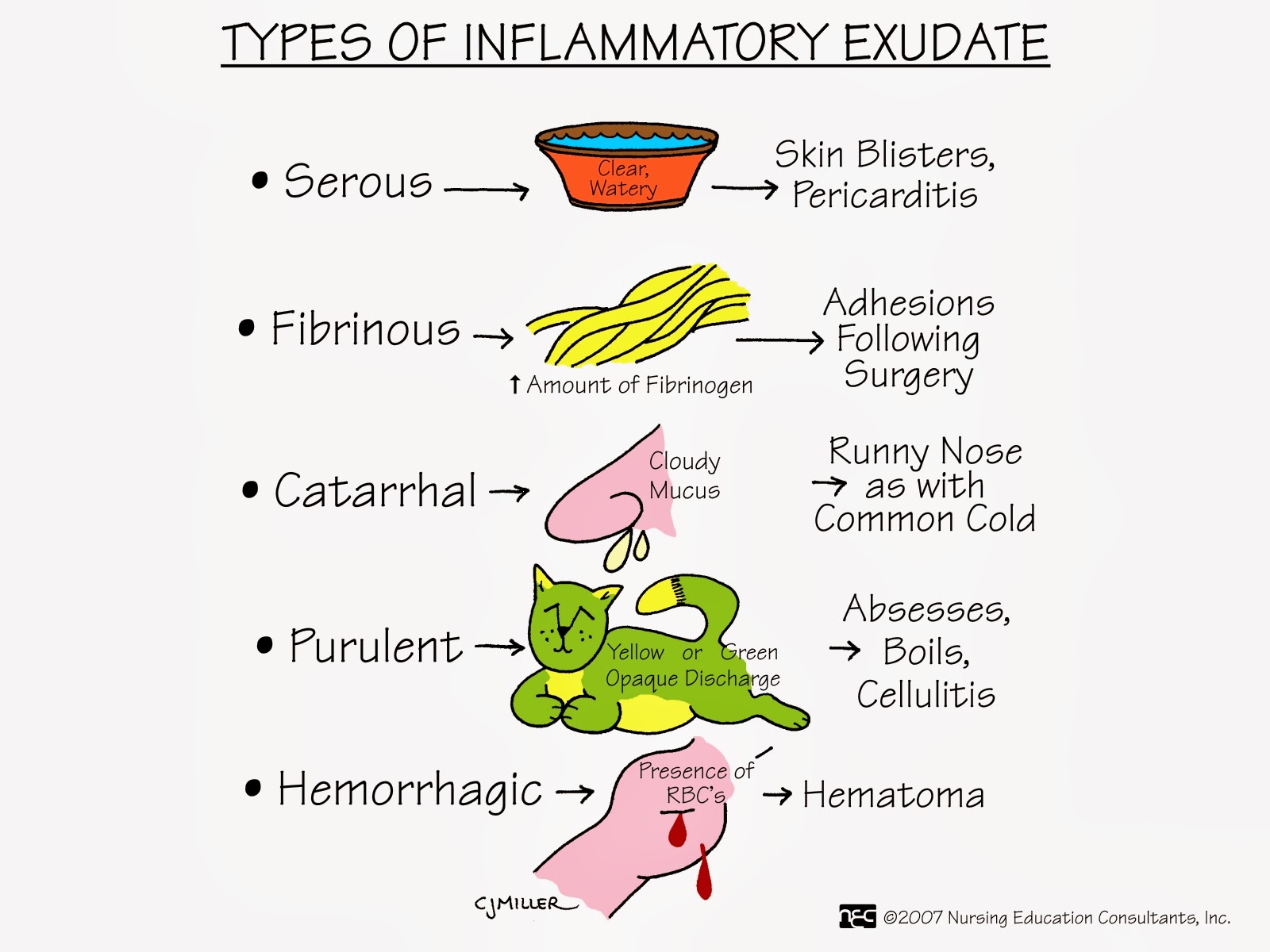 Nurses Notes: Nursing Care Mnemonics