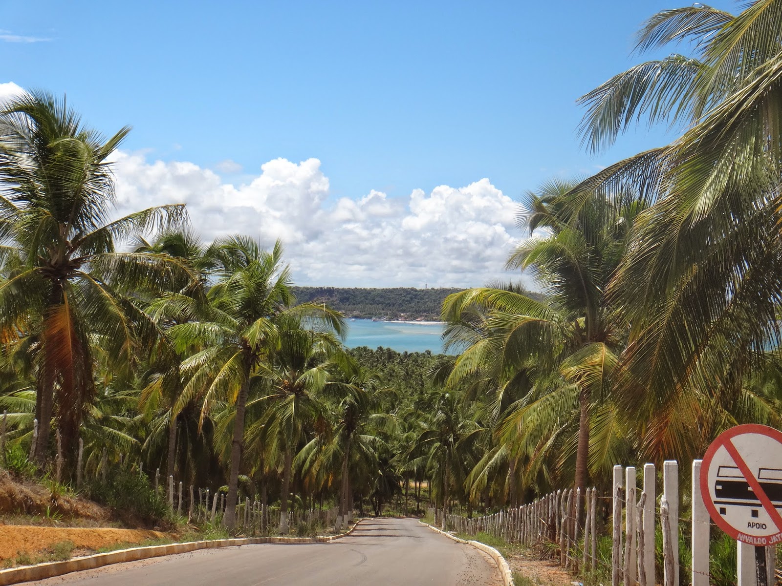 Explorando Viagens: Praia do Gunga - AL