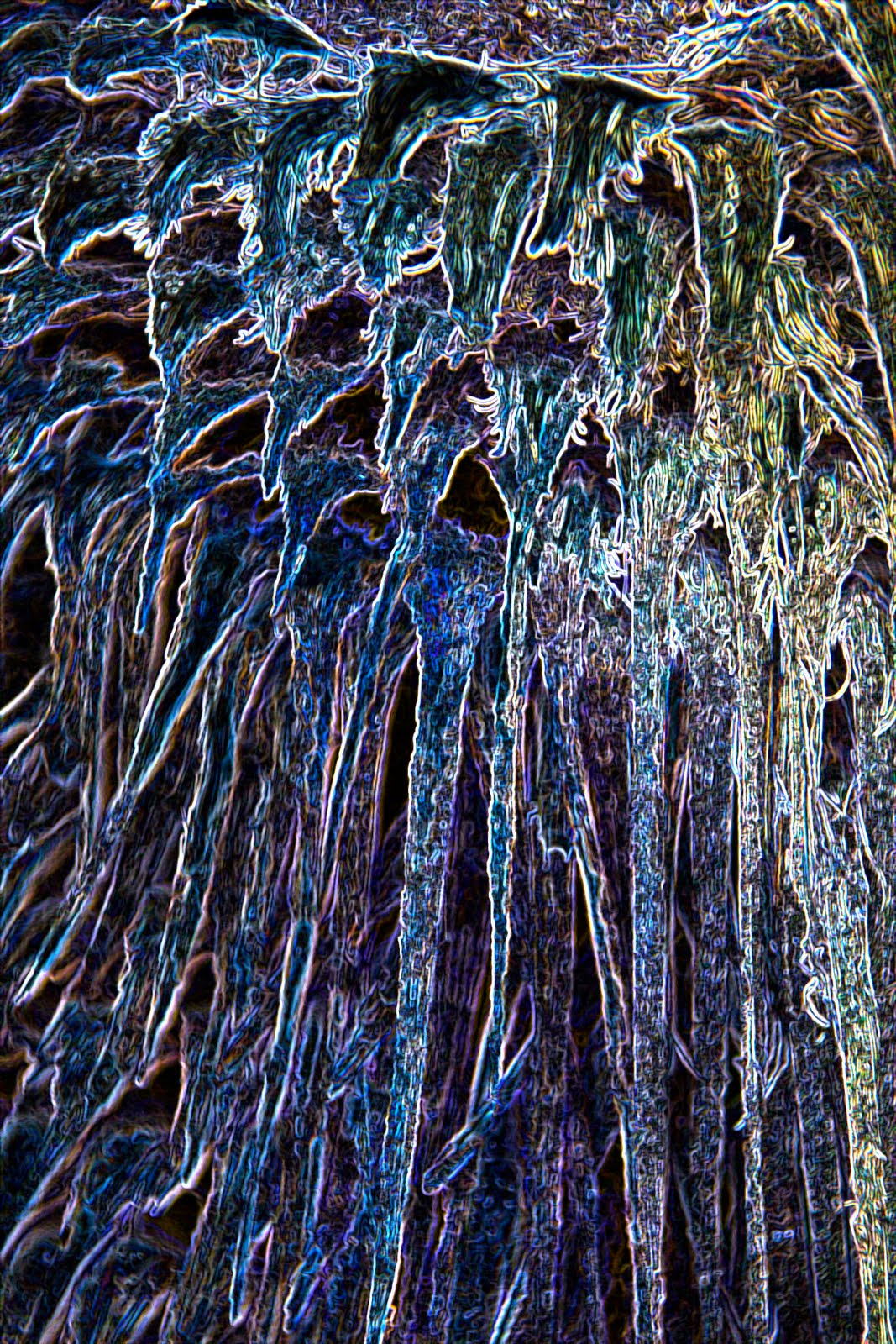 z photo and design: Textures & Abstracts in Nature