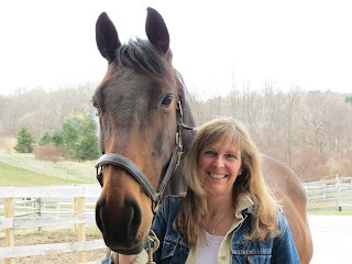 Renee's Author Spotlight: The Troubles by Connie Johnson Hambley