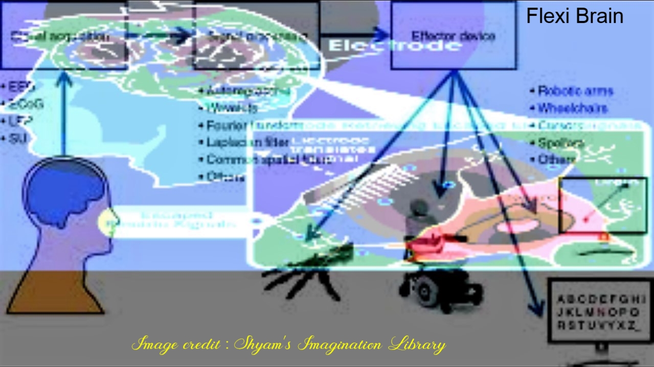 career: Mind Flex 04-9-04