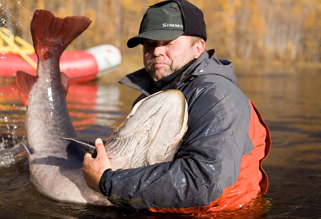 Chavanga Fish Blog: Khabarovsk Taimen fishing tour