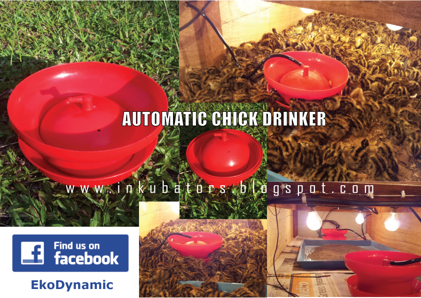 Inkubator's - Teknologi Ternakan Organik: Automatic Chick Drinker ...