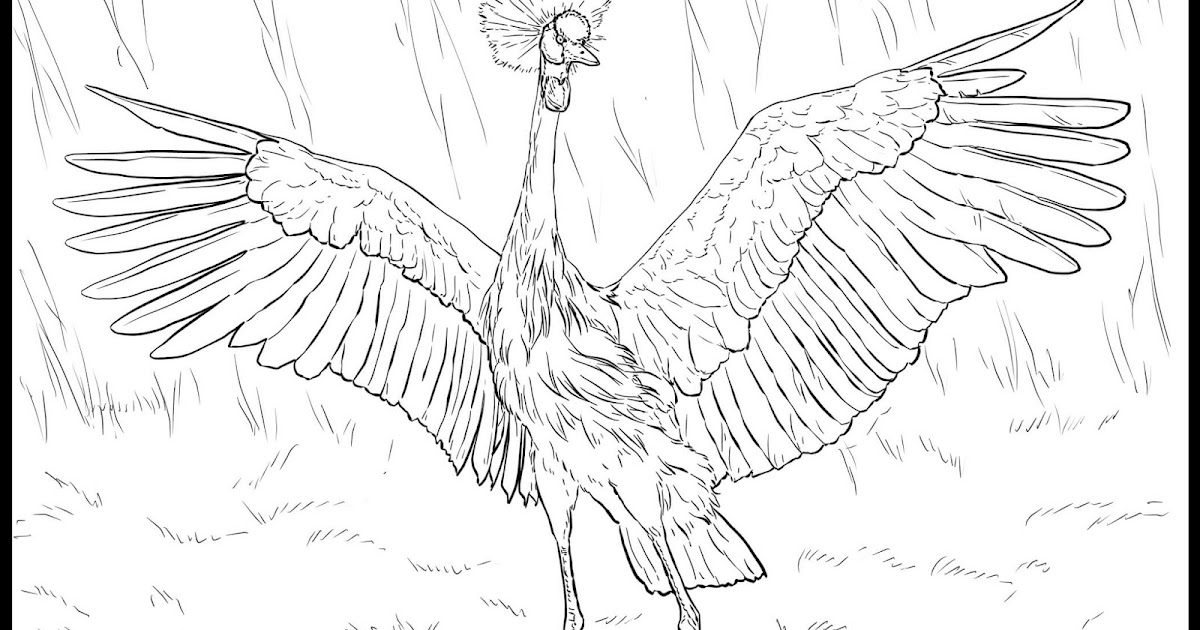 cranes coloring pages - jiahajava