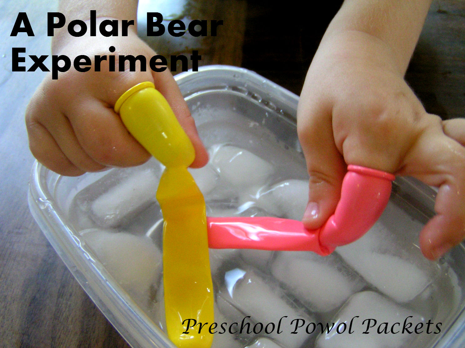 Polar Bear Fur Experiment & Poppins Book Nook | Preschool Powol Packets