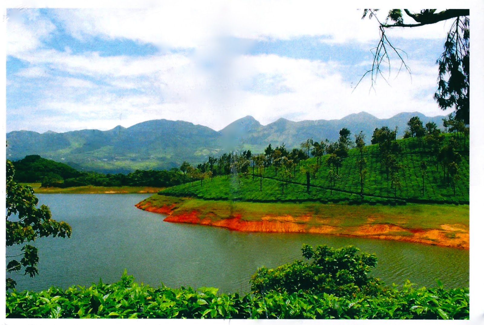 My Favorite Views: India - Munnar, Kerala
