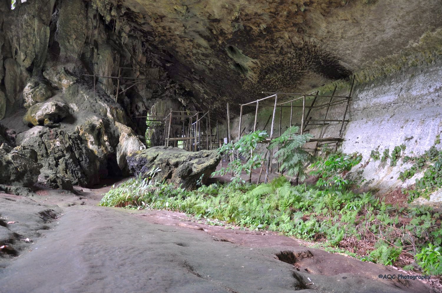 Niah National Park - Niah Cave Experience, Miri Malaysia [Part 2 ...