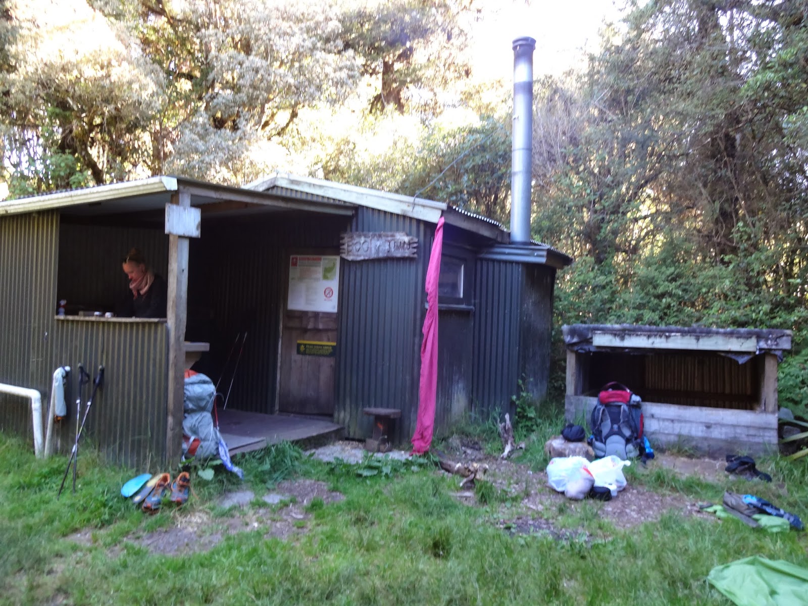 Te Araroa - The Long Pathway: Days 51-55: Pureora Forest