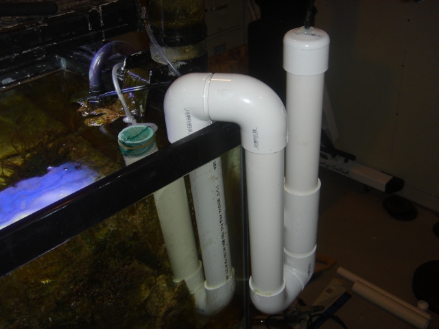 DIY - FVM: Tudo para seu aquário: Overflow: onde, como e para que.