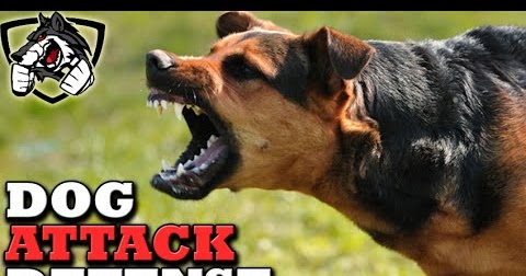 Blog de las Fuerzas de Defensa de la República Argentina: Video: Cómo ...