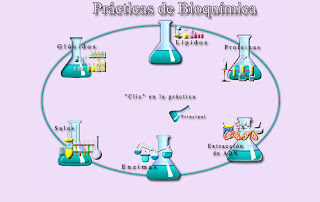 Experimentos Educativos: Practicas de Química