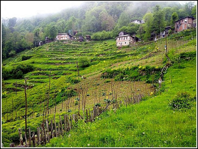 ARHAVİ ARKABİ HACİŞİ: Köyler