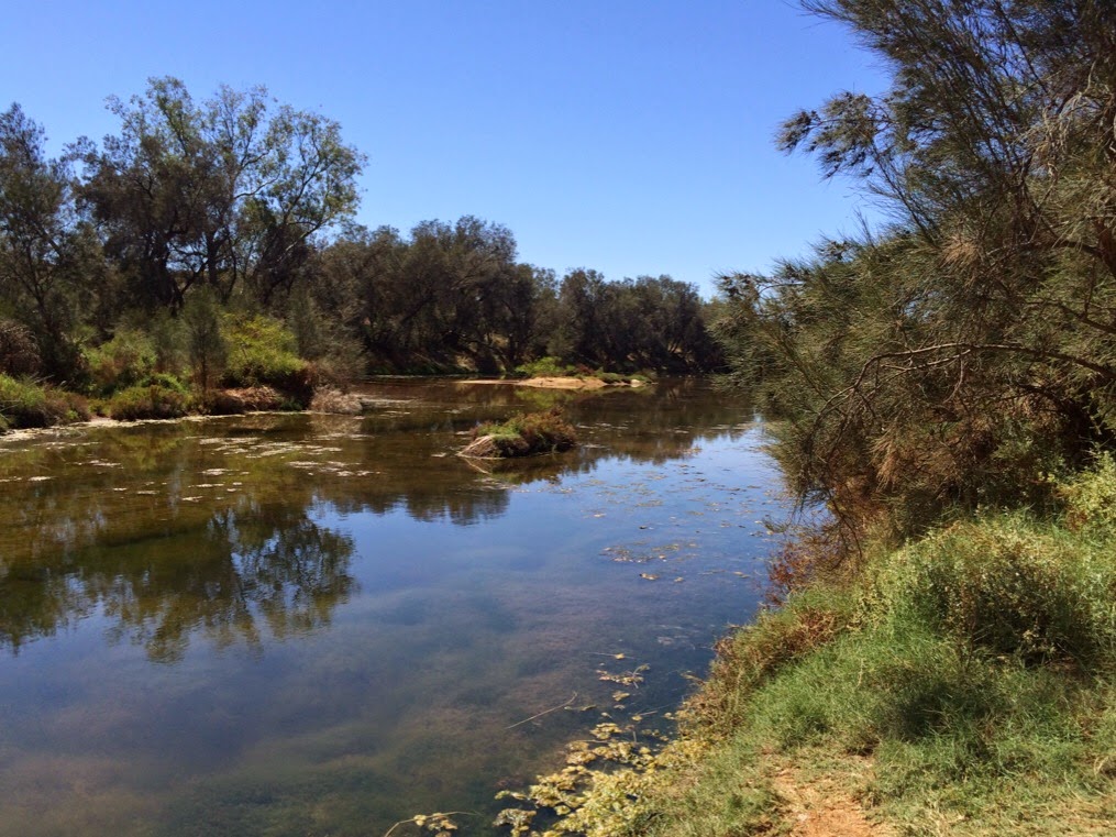 Where in the World are Robert and Cherryl?: Mullewa, Wildflower Country