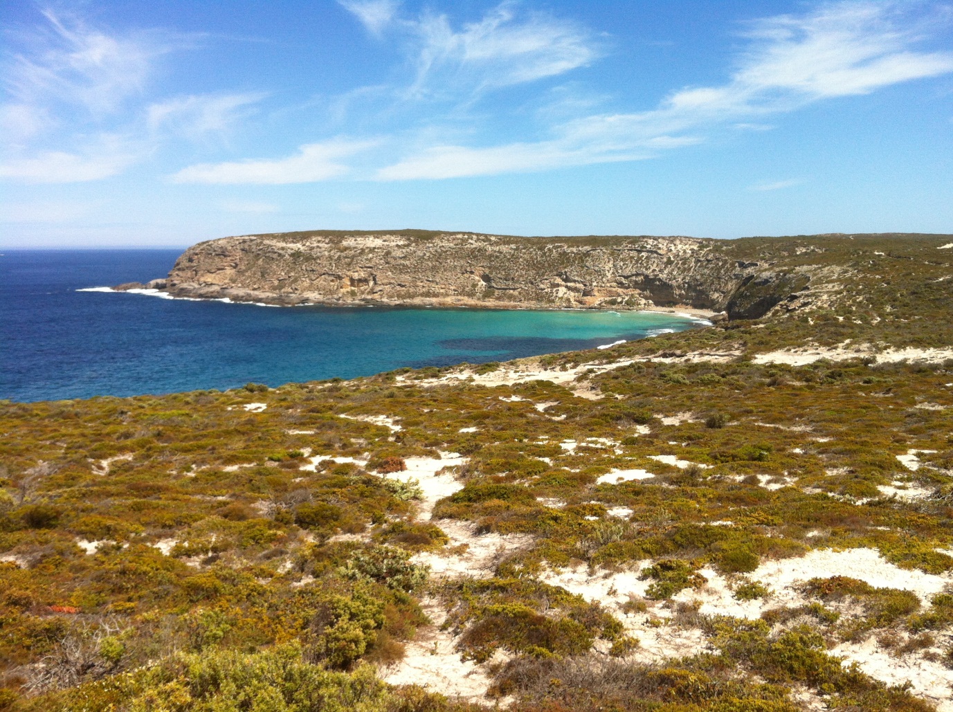 earthdownunder: Whalers Way